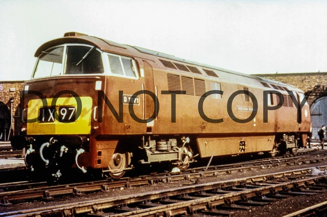 UK DIESEL TRAIN Railway Photograph Of Class 52 Western D1071. Rm52-179 ...