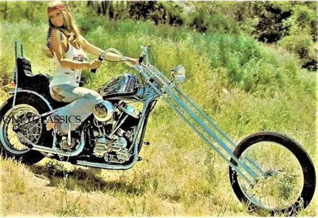 Roberta Pedon Harley Davidson Panhead Chopper Moto 5x7 Photo Busty Pin