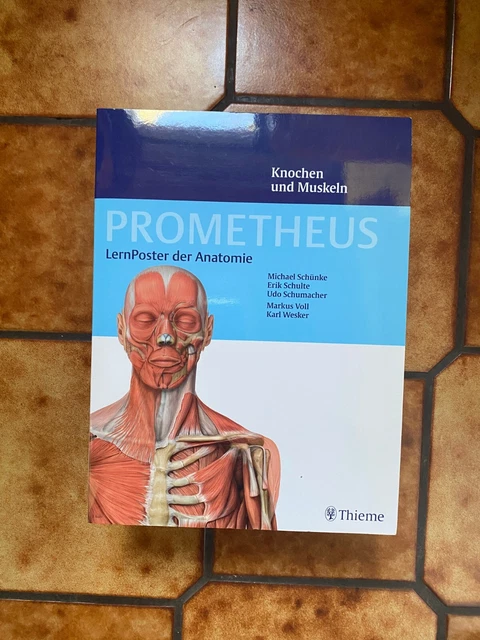 PROMETHEUS LERNPOSTER DER Anatomie, Knochen und Muskeln von Erik ...