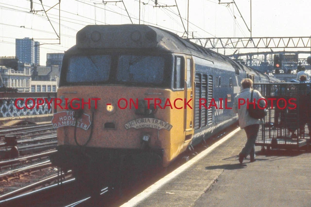UK RAILWAY PHOTOGRAPH Of Class 50 50009 Rm50 559 1 70 PicClick UK uk-railway-photograph-of-class-50-50009-rm50-559-1-70-picclick-uk