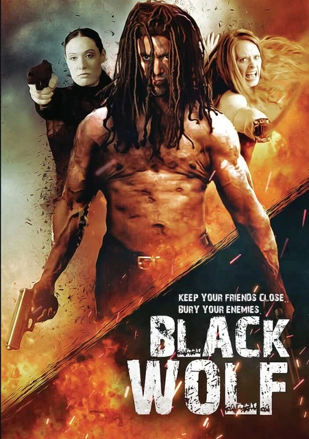 BLACK WOLF (DVD) William Lee Grace Kelly Robert Burns Erin Perez Don Smith EUR 19,36 - PicClick FR