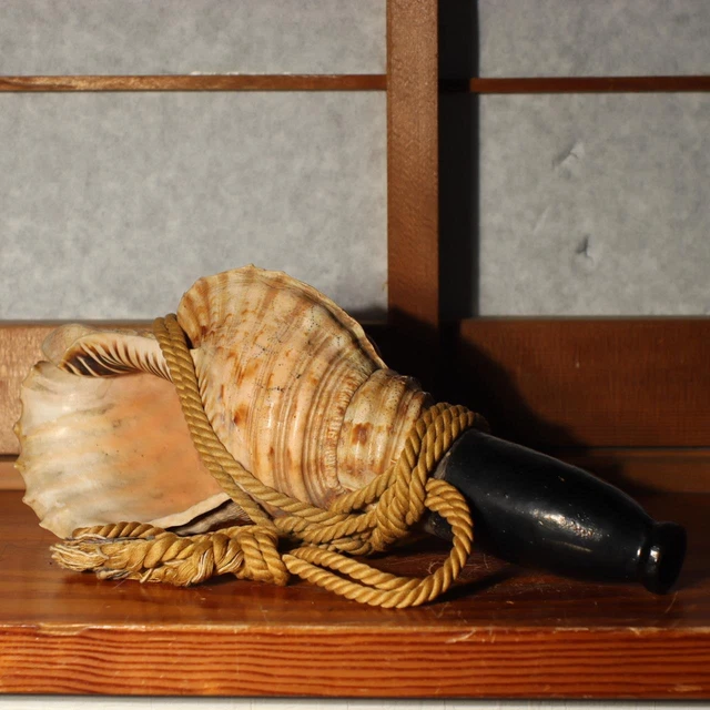 JAPANESE VINTAGE CONCH shell trumpet Horagai Yamabushi Shugendo Trumpet ...