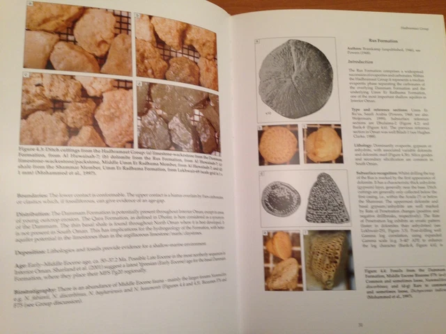 LEXICON OF OMAN Subsurface Stratigraphy.Forbes. Geology.Petrol ...
