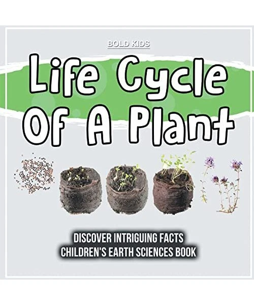 LIFE CYCLE OF A Plant Discover Intriguing Facts Children's Earth ...