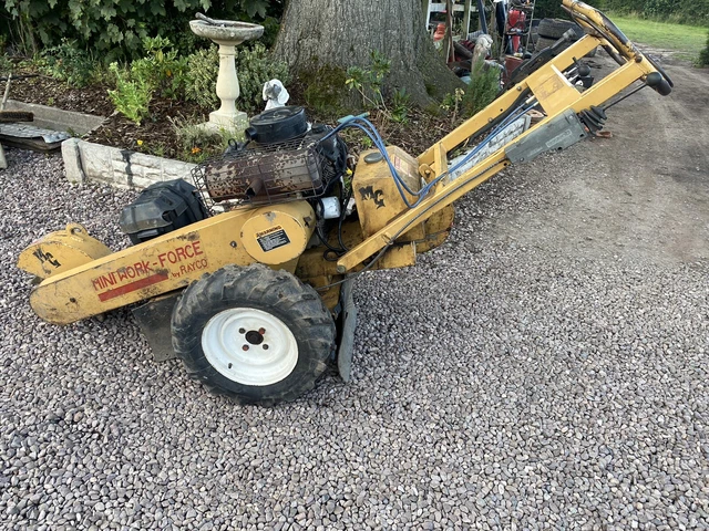 RAYCO RG20 STUMP Grinder Pedestrian Tree Surgeon £1,750.00 - PicClick UK