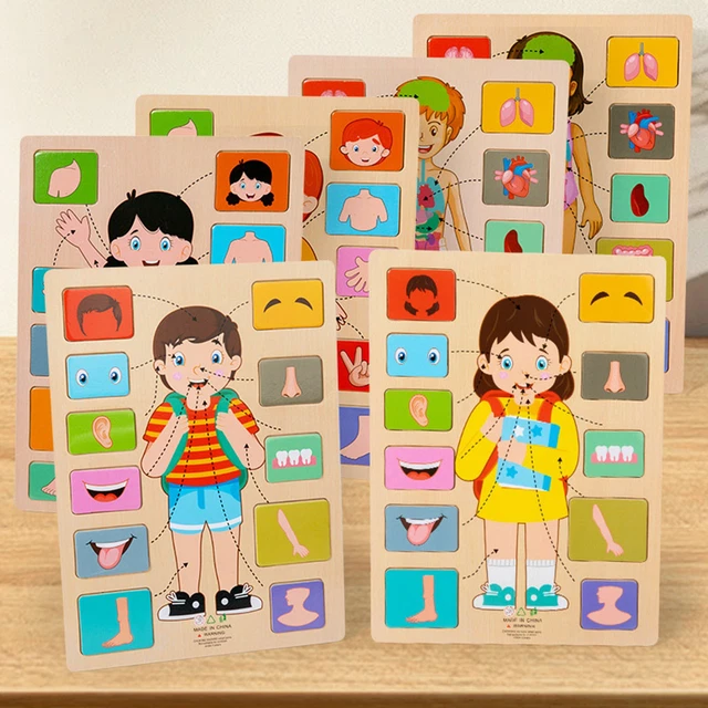 ANATOMY PUZZLE ANATOMY Learning Puzzle Body Puzzle Board Stem Learning ...
