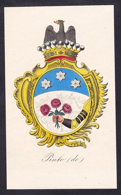 PINTO BLASON COAT Of Arms Armoiries Wapen Gravure 1845 EUR 21,51 ...