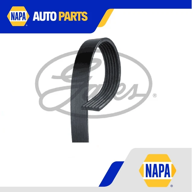 6 RIB MULTI V Drive Belt fits ALFA ROMEO Gates 46444537 46787906 ...