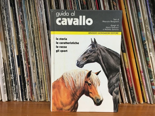 GUIDA AL CAVALLO- La Storia EUR 6,99 - PicClick FR