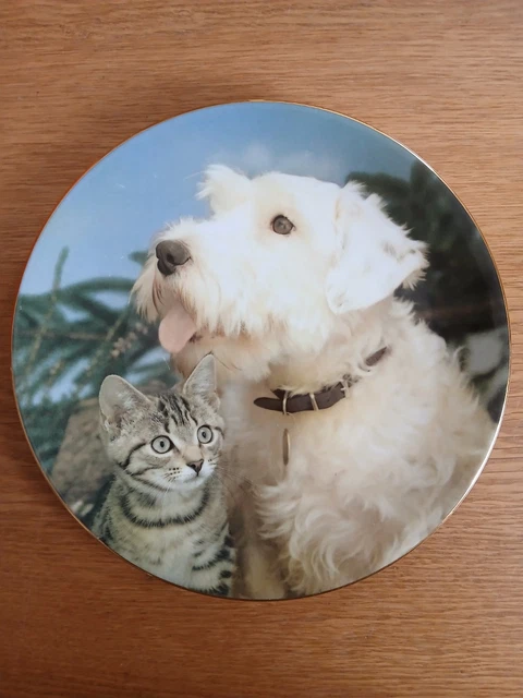 ROYAL WORCESTER &TINKER and Tam" Pet Portraits RSPCA Collector's Plate ...