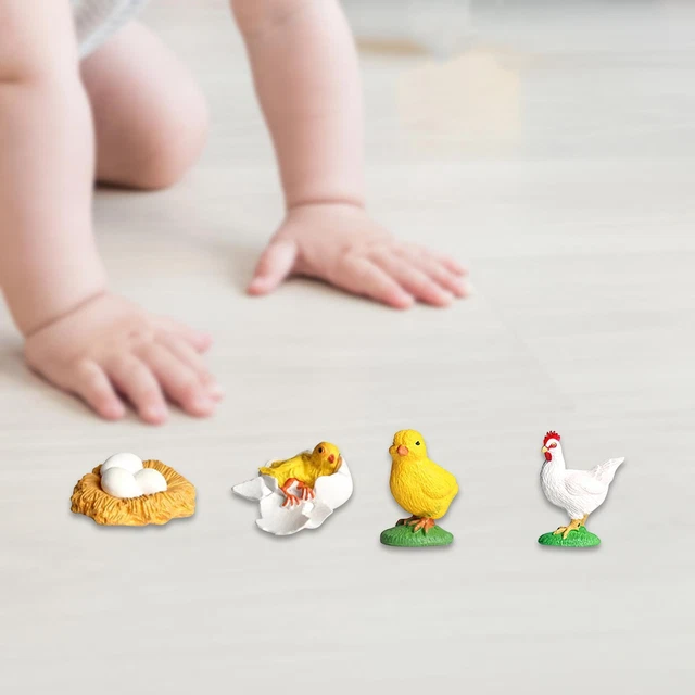 LIFE CYCLE OF Chicken Toys Puzzle for Age 3 to 6 Animal Growth Cycle ... LIFE CYCLE OF Chicken Toys Puzzle for Age 3 to 6 Animal Growth Cycle ...