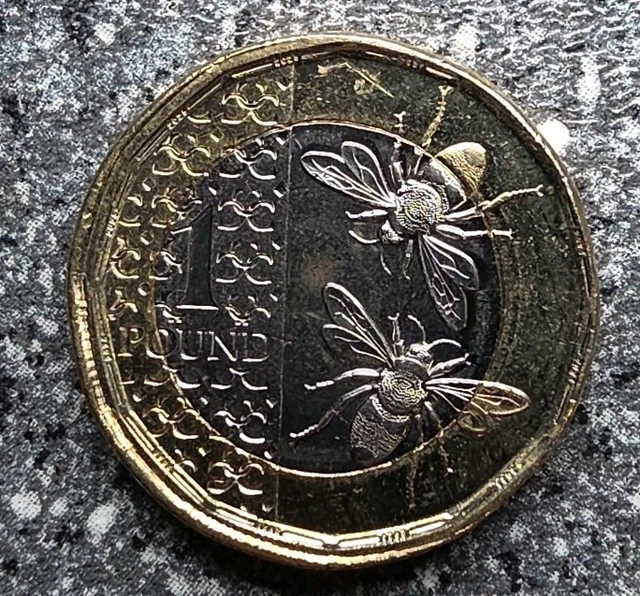 2025 £1 ONE Pound Coin Bees error double edged - Charles III UK very ...