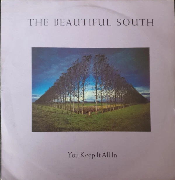 THE BEAUTIFUL SOUTH - You Keep It All In - Disque vinyle d'occasion 7 ...