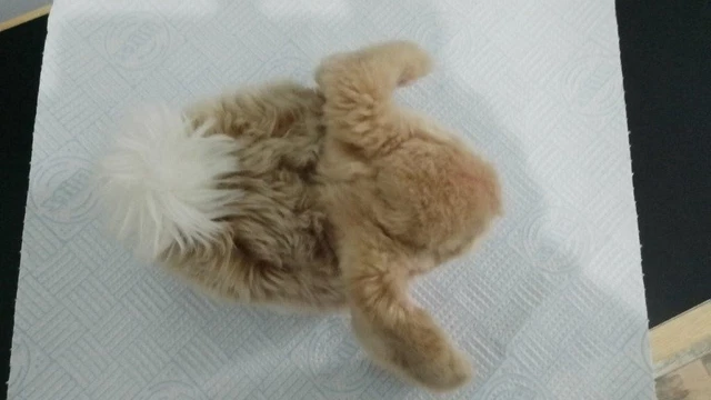 LOP EARED BUNNY Rabbit Beanie Soft Toy By Keel Toys 15 cm long £1.17 ...