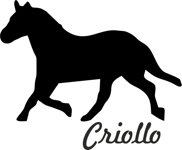 2 X AUTO Aufkleber CRIOLLO Pferd "criollo horse " Car Sticker ...