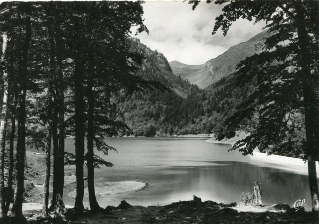 CARTE LARUNS VALLÉE d'Ossau Lac de Bious Artigues EUR 2,49 - PicClick FR