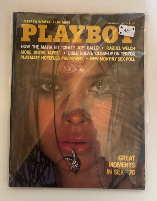 PLAYBOY MAGAZINE FEBRUARY 1977 Vintage Adult Collectors Issue w ...