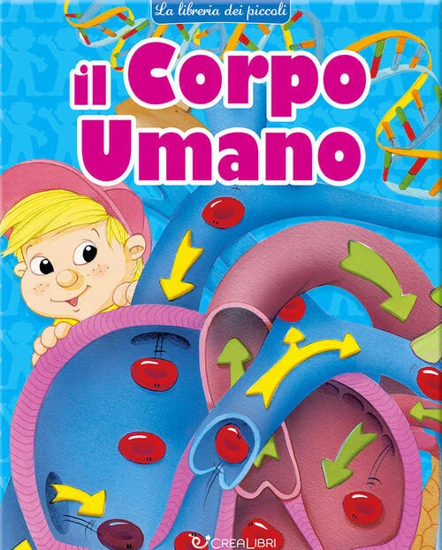 IL CORPO UMANO. La Libreria Dei Piccoli Maria Elena Gonano Crealibri ...