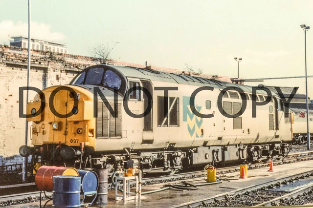 UK DIESEL TRAIN Railway Photograph Of Class 37 37037 Loco. Rm37-109 £1. ...