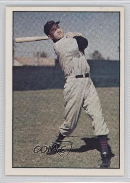 1979 TCMA BASEBALL History Series the 1950's Hank Sauer #70 $1.40 ...