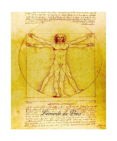 LEONARDO DA VINCI: Moyen format petits carreaux, Jey Bee EUR 8,99 ...