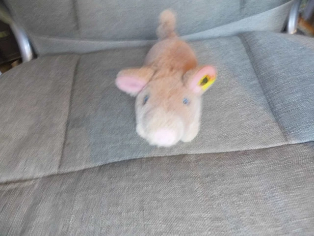 ALTES, ANTIKES STEIFF Schwein, Ferkel EUR 5,00 - PicClick DE