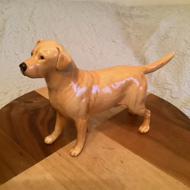 VINTAGE LARGE BESWICK Golden/Yellow Labrador Dog,Solomon Of Wendover ...