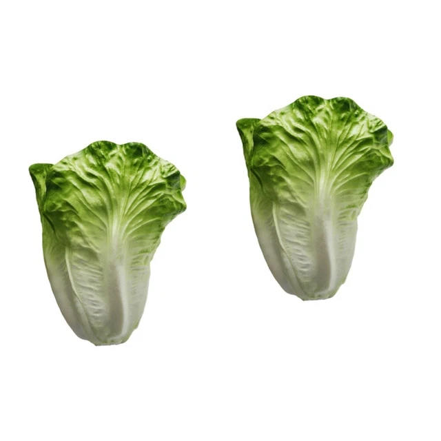 2 PACK PRETEND Play Foods Simulated Vegetables Realistic Lettuce Model ...