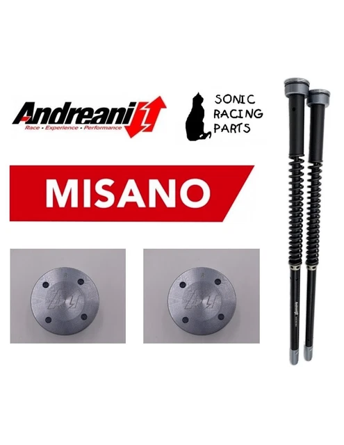 110/HD8 CARTOUCHE ANDREANI Misano Harley Davidson Electra Glide Flht ...