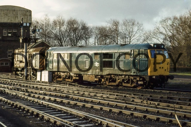 UK DIESEL TRAIN Railway Photograph Of Class 31 31260 Loco. (Rm31-316) £ ...