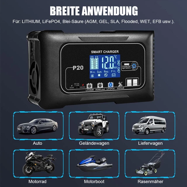 BATTERIE LADEGERÄT 12V-20A 24V-10A Lithium LiFePO4 AGM GEL SLA Reparatur (P20) EUR 49,99 ...