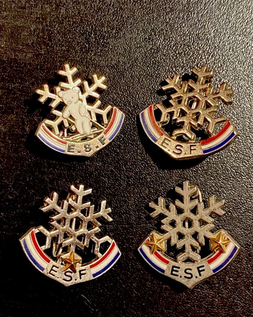 RARE LOT 4 Pin’s Insignes De Ski ESF Flocon 1 & 2 Étoiles EUR 15,00 ...