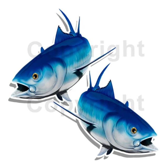 BLUEFIN TUNA STICKER Decal Fishing Fish Boat Truck Camper Trailer F138 ...