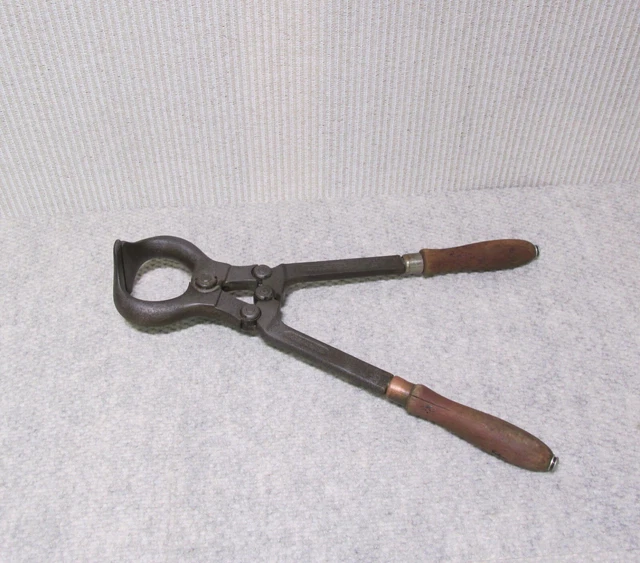 VINTAGE BURDIZZO BULL Castration Veterinary Tool -Forged, Made in USA £ ...