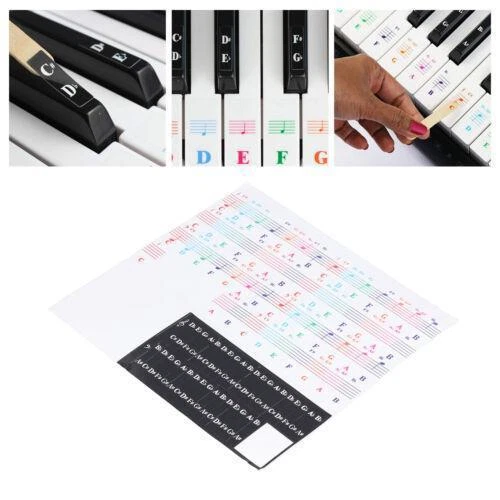 LARGE NOTE LETTER Piano Keyboard Stickers 49/61/76/88 Keys Beginners $6 ...