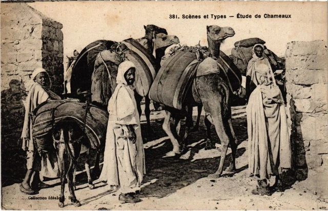 CPA AK ALGERIA Scenes et Types - Etude de Chameaux (1188238) EUR 5,99 ...
