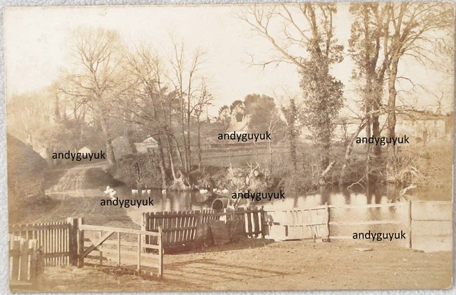REAL PHOTO POSTCARD Runcton North Mundham West Sussex Chichester ...