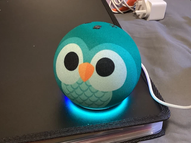 ALEXA ECHO DOT owl kids smart speaker never used free delivery cheap ...