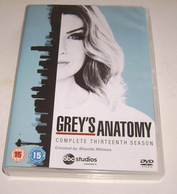 GREY'S ANATOMY: COMPLETE Thirteenth Season DVD EUR 15,20 - PicClick IT