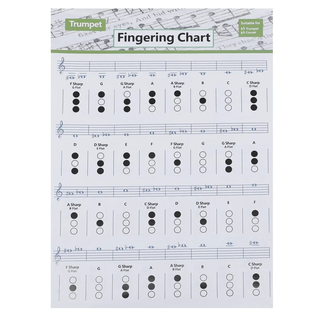 CHORD FINGERING CHART Child Student Trumpet Practice Charts £9.99 ...