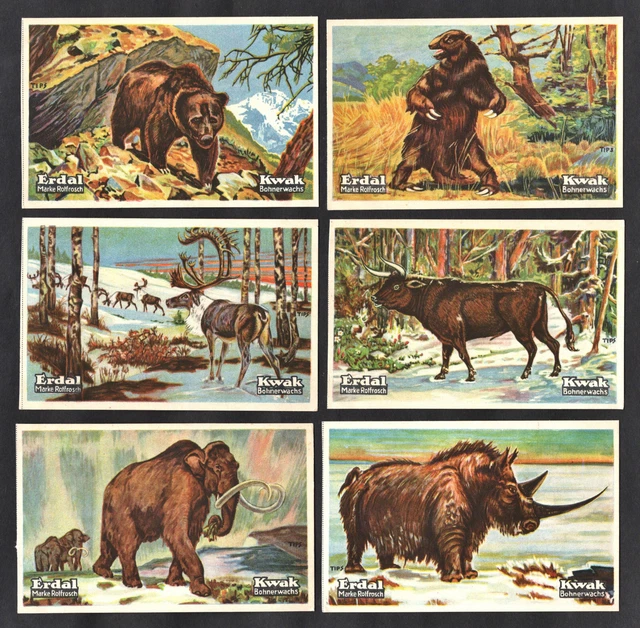 ICE AGE PREHISTORIC Animals Erdal German Card Set 1928 Mammoth Bear ...