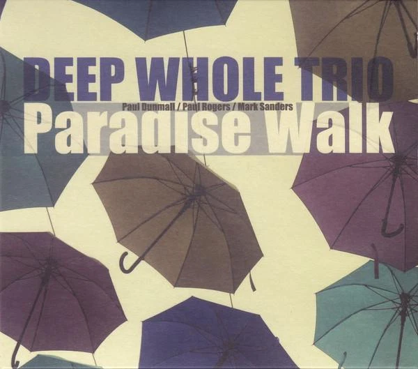 DEEP WHOLE TRIO Paradise Walk CD Poland Multikulti Project 2016 in fold ...