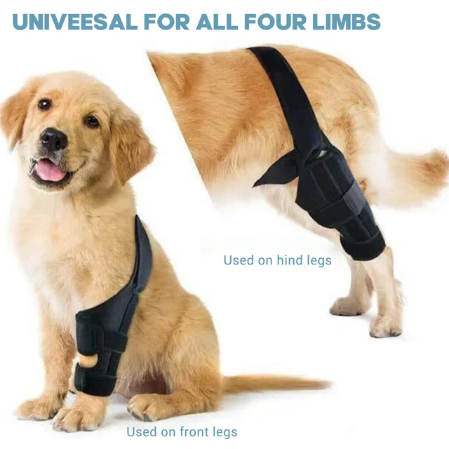 S/M/XL-PET DOG KNEE Support Brace-Hock Protector Front Rear Leg Compression Wrap $20.28 ...