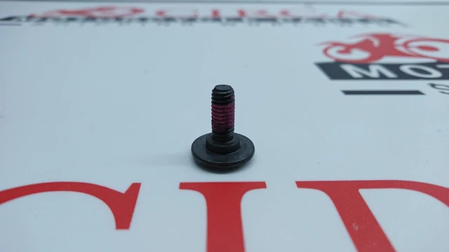 TRIUMPH DAYTONA, TRIPLE, SPRINT, TIGER Gear Selector Bolt T3050188 $3. ...
