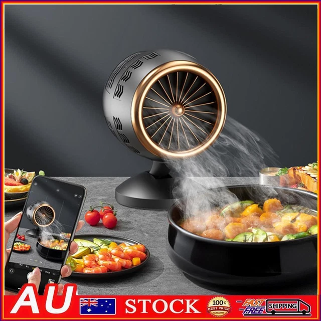 KITCHEN EXHAUST FAN Low Noise Mini Cooker Hood Extractor Hood for BBQ ...