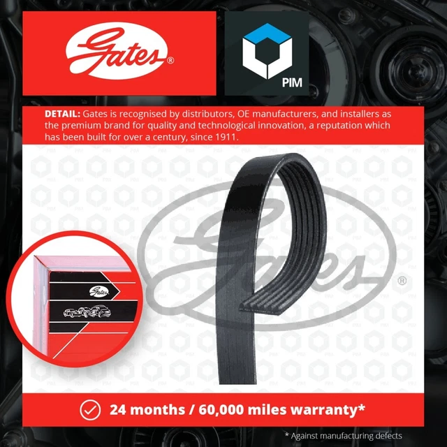 6 RIB MULTI V Drive Belt fits LEXUS Gates 9091602755 Genuine Quality ...