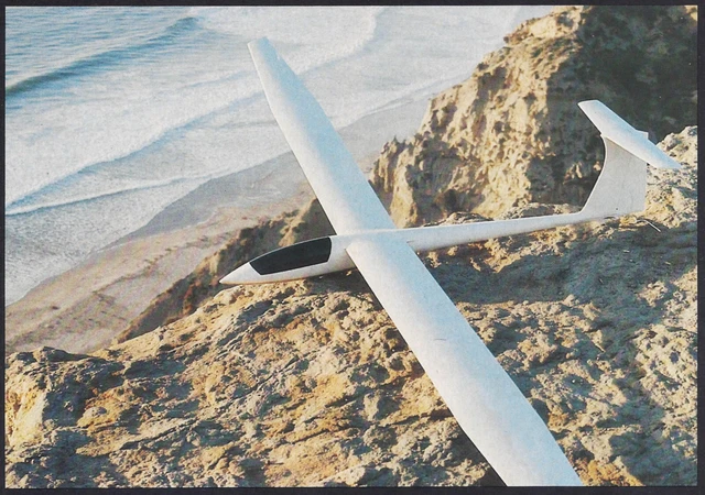 GIANT WASP W-21 High Speed Slope Sailplane Plans, Templates ...