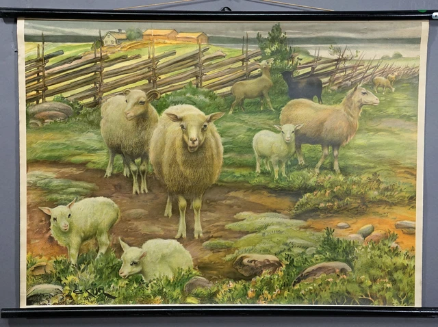 COTTAGECORE MURAL VINTAGE Rollable Wall Chart Sheep in the Countryside ...
