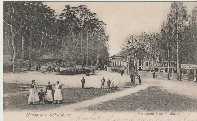SEHR SCHÖNE LITHO-KARTE Von Berlin-Grunewald , Gruss aus Schildhorn ...