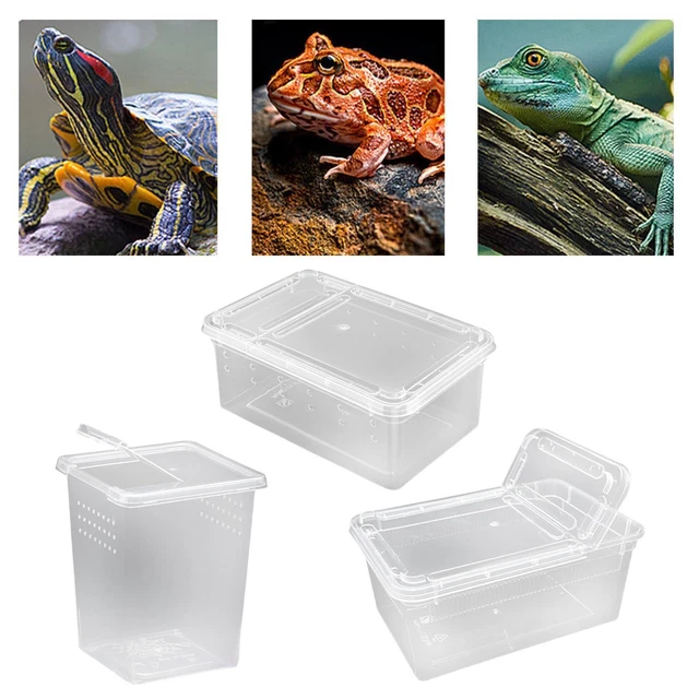FEEDING AND BREEDING Box for Reptiles, Small Transparent Transport Box ...